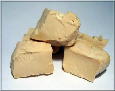 levure-fraiche-pressée | GOURMANDISE SANS FRONTIERES